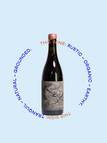 Astro Vino - Wine for Your Sign